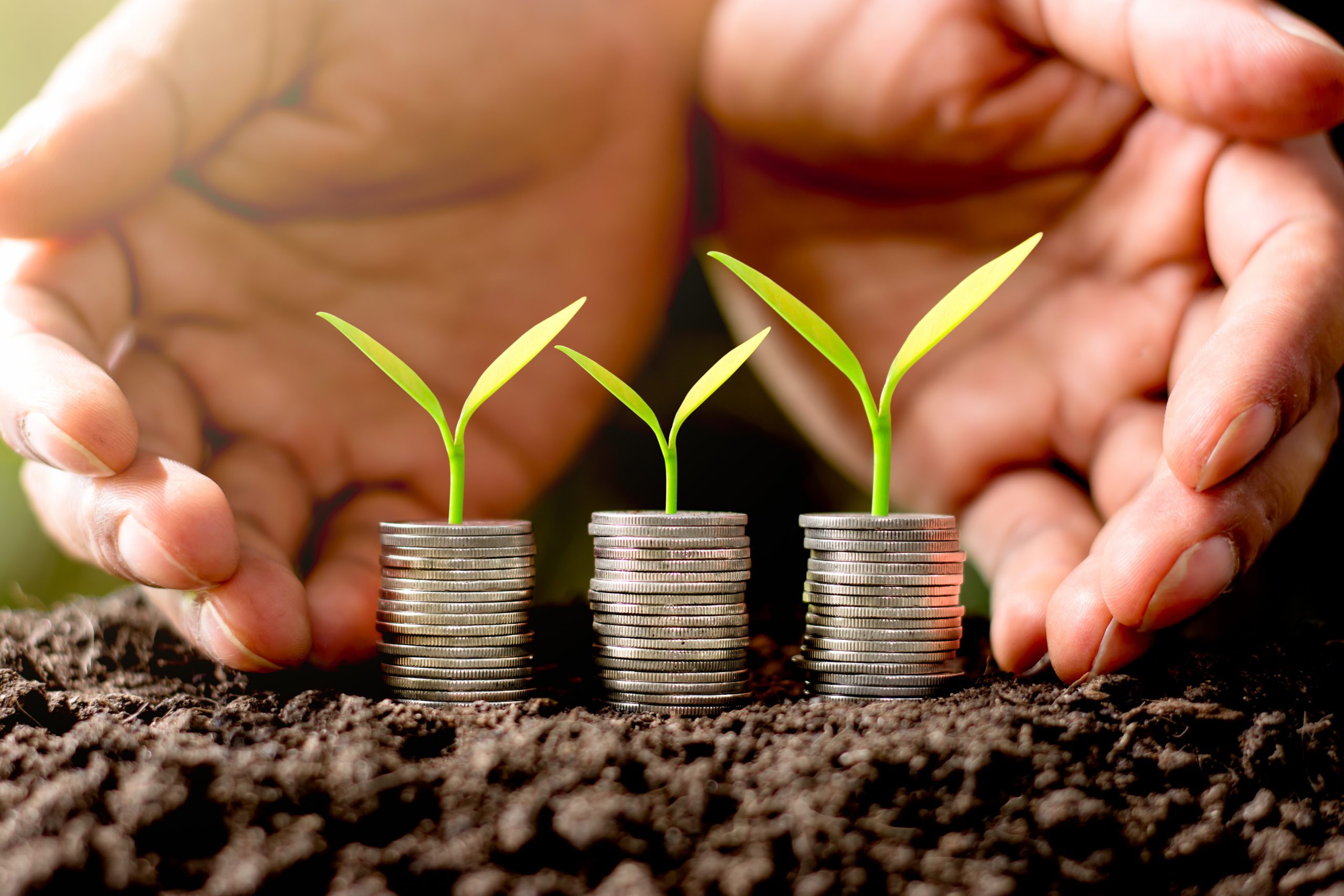 3 Stable Stocks to Buy for Safe Returns | Entrepreneur