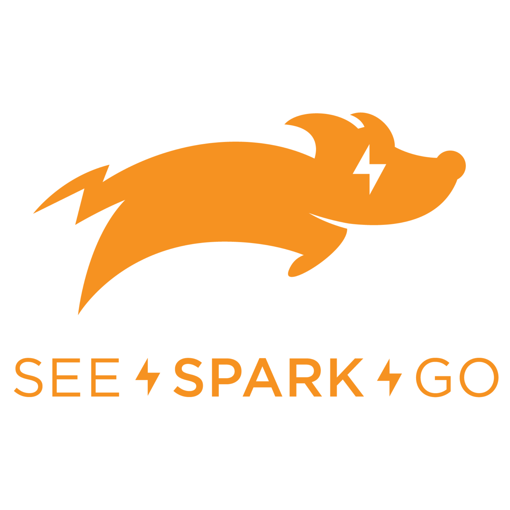 See.Spark.Go Entrepreneur Company Profile